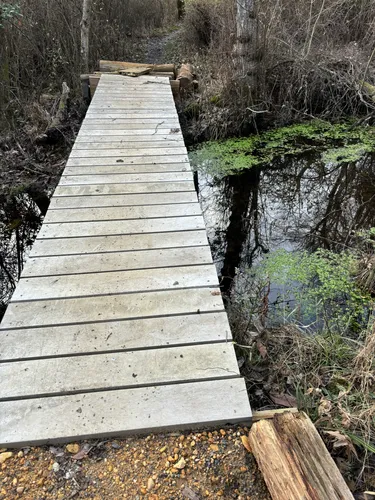 Best Hikes and Trails in Parvin State Park | AllTrails