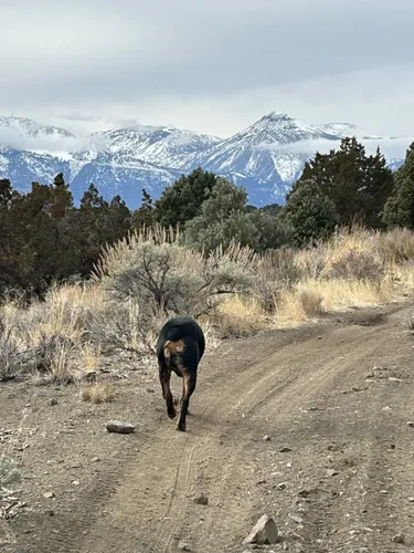 Best Off Road Driving Trails in Washoe Valley | AllTrails