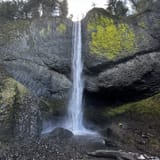 Latourell Falls Loop, Oregon - 6,556 Reviews, Map | AllTrails
