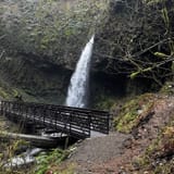 Latourell Falls Loop, Oregon - 6,556 Reviews, Map | AllTrails