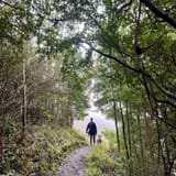 Slacker Hill via Morning Sun, Alta, SCA and Slacker Ridge, California ...