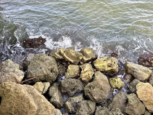 Best Hikes and Trails in Twin Rivers Park | AllTrails