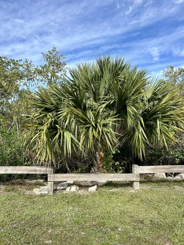 Best Hikes and Trails in Twin Rivers Park | AllTrails