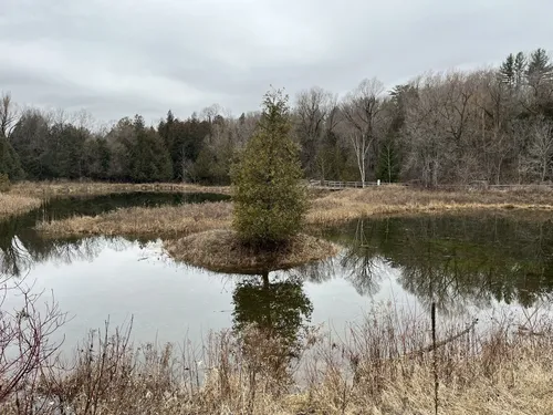 Best Hikes and Trails in Heber Down Conservation Area | AllTrails