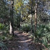 Doris Leeper Trail, Florida - 566 Reviews, Map | AllTrails