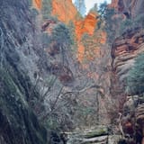 Spring Creek Canyon, Utah - 1,147 Reviews, Map | AllTrails