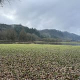 Trojan Park Loop , Oregon - 125 Reviews, Map | AllTrails