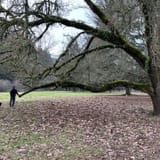 Trojan Park Loop , Oregon - 125 Reviews, Map | AllTrails