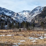 Cub Lake Trail, Colorado - 1,327 Reviews, Map | AllTrails