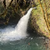 Kalama Falls Trail, Washington - 516 Reviews, Map | AllTrails