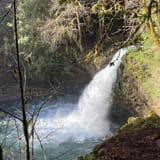 Kalama Falls Trail, Washington - 574 Reviews, Map | AllTrails