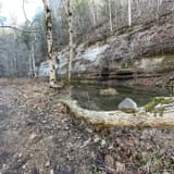 Window Cliffs Trail, Tennessee - 1,387 Reviews, Map | AllTrails
