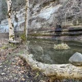 Window Cliffs Trail, Tennessee - 1,387 Reviews, Map | AllTrails
