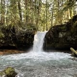 Kalama Falls Trail, Washington - 574 Reviews, Map | AllTrails