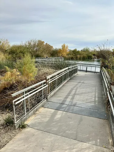 Best 10 Hiking Trails in Gilbert Riparian Preserve | AllTrails