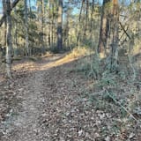 Chinquapin Loop Trail, Texas - 2,346 Reviews, Map | AllTrails