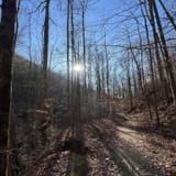 Emory Gap Falls Trail, Tennessee - 788 Reviews, Map | AllTrails