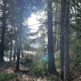 Chamberlain-Reynolds Memorial Forest Loop, New Hampshire - 974 Reviews ...