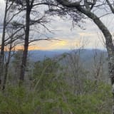 Pin-Chin-Sky Loop, Alabama - 620 Reviews, Map | AllTrails
