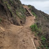 Old Colma Road Loop, California - 1,790 Reviews, Map | AllTrails