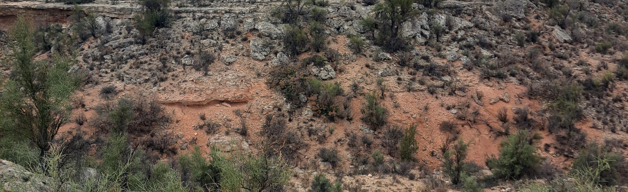 Cliffrose Trail, Arizona - 448 Reviews, Map | AllTrails