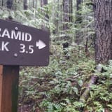 Pyramid Mountain Trail, Washington - 586 Reviews, Map | AllTrails