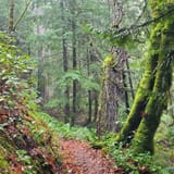 Pyramid Mountain Trail, Washington - 586 Reviews, Map | AllTrails