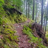 Pyramid Mountain Trail, Washington - 586 Reviews, Map | AllTrails