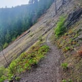 Pyramid Mountain Trail, Washington - 586 Reviews, Map | AllTrails