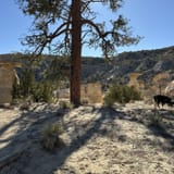 Hoodoo Trail, New Mexico - 495 Reviews, Map | AllTrails