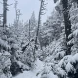 Mount Tom, Avalon, and Field Loop, New Hampshire - 1,322 Reviews, Map ...