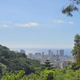 Makiki Valley Loop Trail, Oahu, Hawaii - 5,455 Reviews, Map | AllTrails