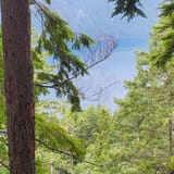 Pyramid Mountain Trail, Washington - 586 Reviews, Map | AllTrails