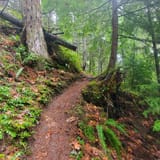 Pyramid Mountain Trail, Washington - 586 Reviews, Map | AllTrails