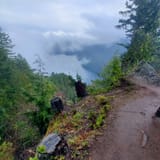 Pyramid Mountain Trail, Washington - 586 Reviews, Map | AllTrails