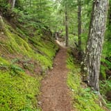 Pyramid Mountain Trail, Washington - 586 Reviews, Map | AllTrails