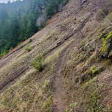 Pyramid Mountain Trail, Washington - 643 Reviews, Map | AllTrails
