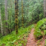 Pyramid Mountain Trail, Washington - 643 Reviews, Map | AllTrails