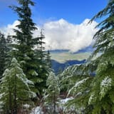 Mount Washington Trail, Washington - 2,638 Reviews, Map | AllTrails