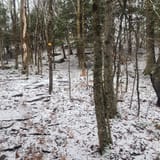 Huckleberry Point Trail, New York - 1,719 Reviews, Map | AllTrails