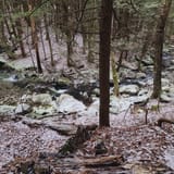 Huckleberry Point Trail, New York - 1,719 Reviews, Map | AllTrails