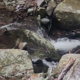Huckleberry Point Trail, New York - 1,719 Reviews, Map | AllTrails