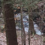 Huckleberry Point Trail, New York - 1,719 Reviews, Map | AllTrails