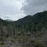 Goodspeed-Nattkemper Trail to Mount Hood Peak and Gunsight Lookout ...