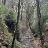 Goodspeed-Nattkemper Trail to Mount Hood Peak and Gunsight Lookout ...