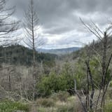 Goodspeed-Nattkemper Trail to Mount Hood Peak and Gunsight Lookout ...