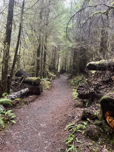 Best Hikes and Trails in Colonel Bob Wilderness | AllTrails