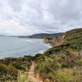 Bouddi Coastal Walk: Little Beach to Putty Beach, New South Wales ...
