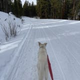 skinner hut, Colorado - 152 Reviews, Map | AllTrails