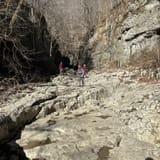 Walls of Jericho Trail, Alabama - 2,226 Reviews, Map | AllTrails